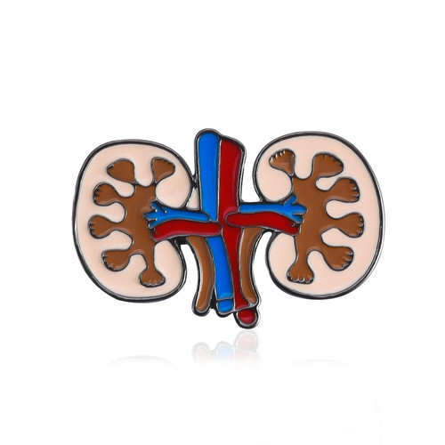 Hanreshe Kidney Anatomy Brooch Enamel Lapel Pins Medical Jewelry Badge ...