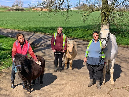 Northcote Heavy Horse Centre | Lincolnshire Animal Sanctuary