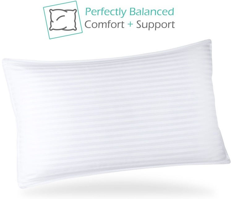 Our Products | claraclark