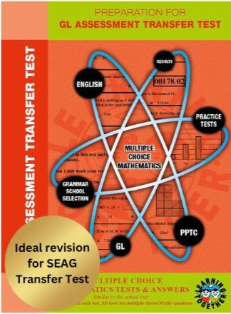 SEAG type multiple-choice Maths Transfer Test revision and practice book
