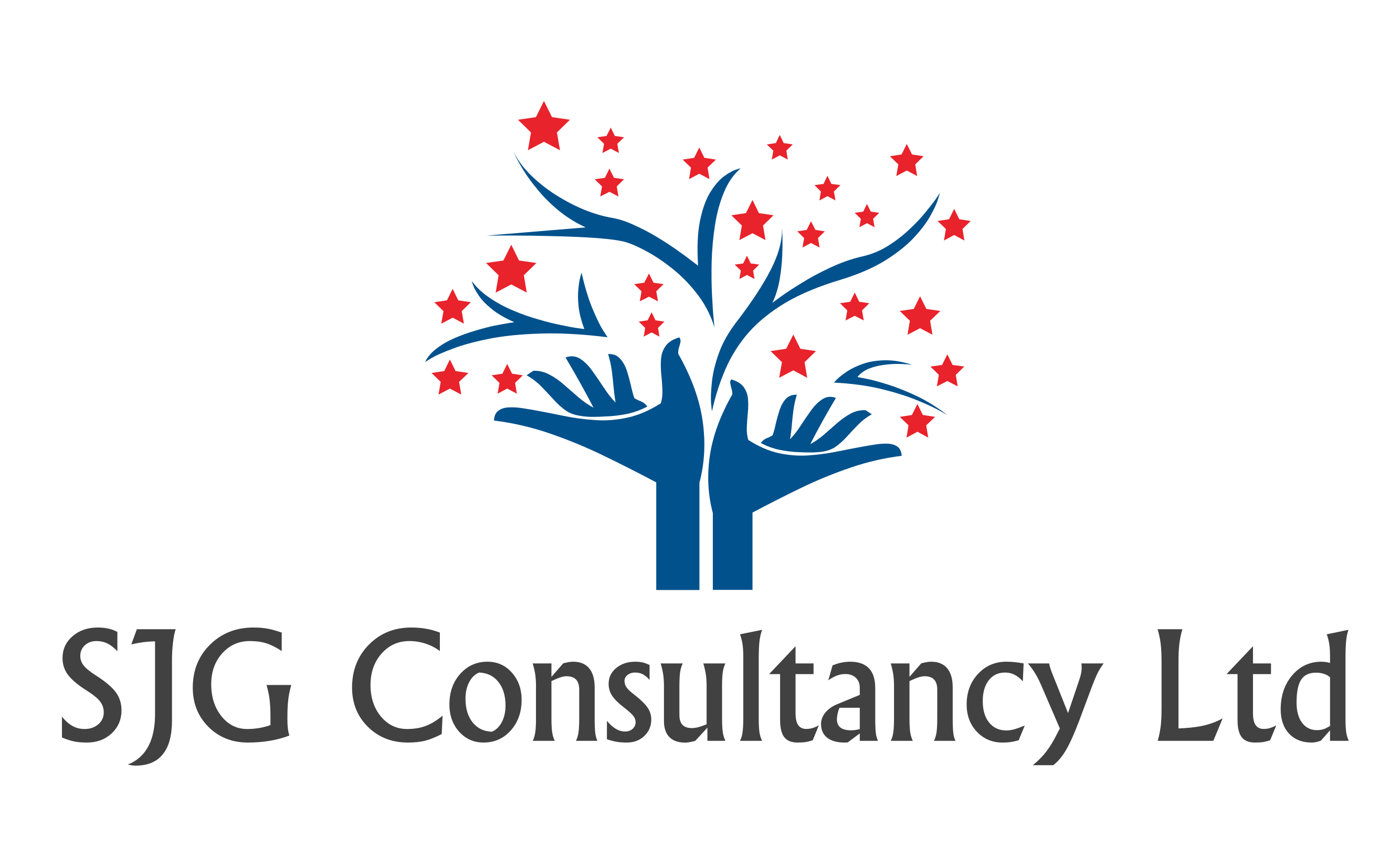 Consultancy Ltd Logo