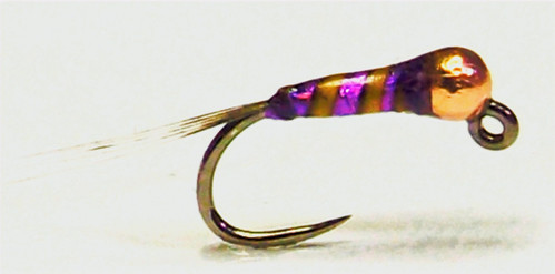 HOLOGRAPHIC QUILLDIGON PURPLE | Colorado Fly Angler