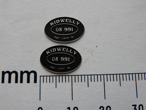 08991 Kidwelly | Protoneo