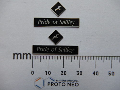 47839 Pride of Saltley | Protoneo