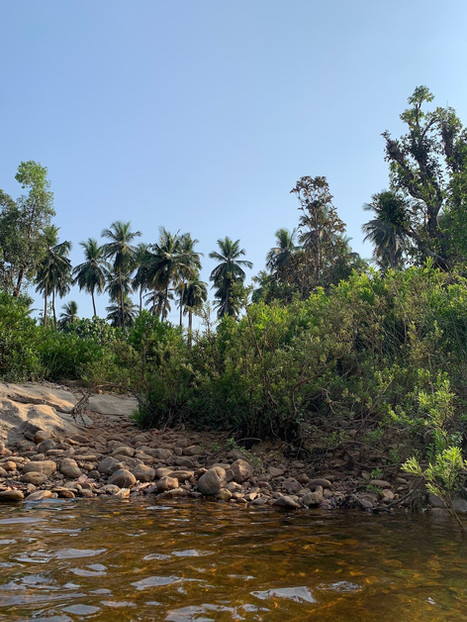 Udupi homestay: Photos | Monappa Estate | Agumbe | Karkala