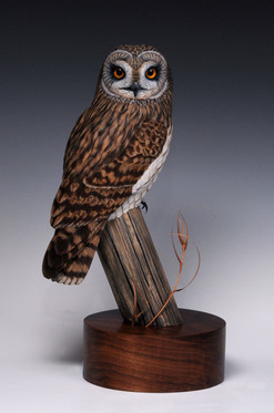 Felton Bird Carving and Wildlife Drawing Art Gallery