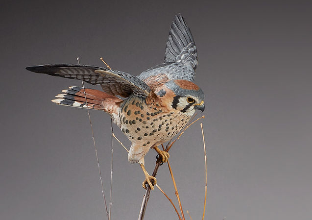 Jennifer Felton Art Award Winning Bird Carver Storm Lake