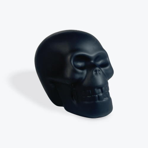 MB36 Skull Money Box | imajpak