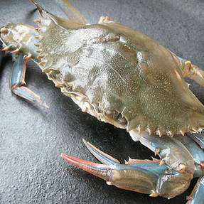 Gallery | Hanover Lobster & Seafood | Hanover, MA