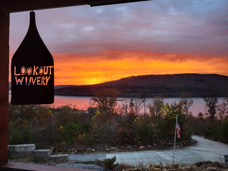 Gallery | LookOut Winery | Chattanooga, TN