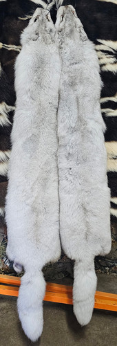 Farm Raised Blue Fox Raw Fur | houghfur