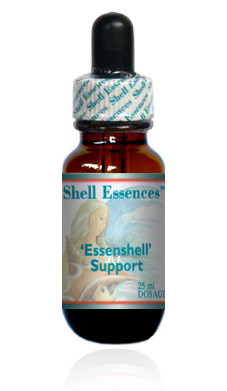 'Essenshell' Support | Shell Essences
