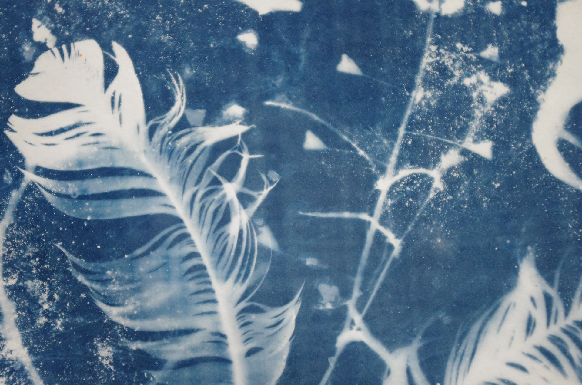 Contact | Torlin Art