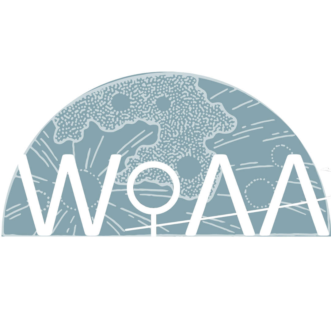 Representation in Aerospace | WoAA International