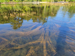 Home | Sebago Kayak Company