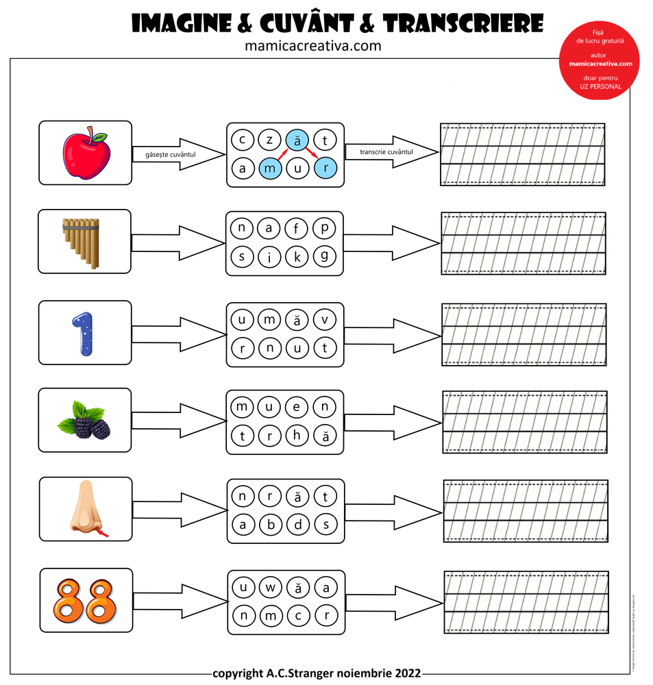 Imagine & Cuvant & Transcriere