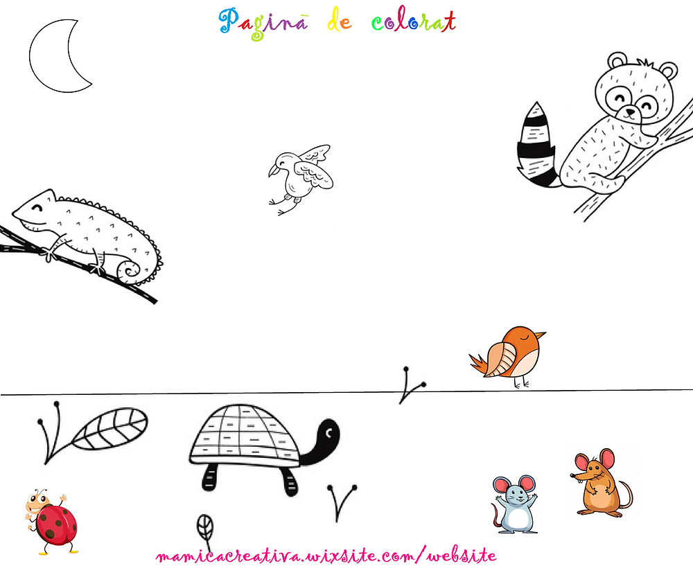 2 pagini de colorat