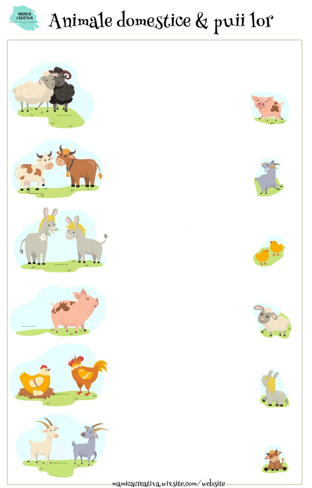 Animale si puii lor (4-5+)