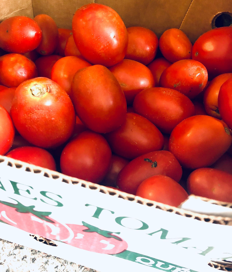 Tomates italiennes en dés en conserve