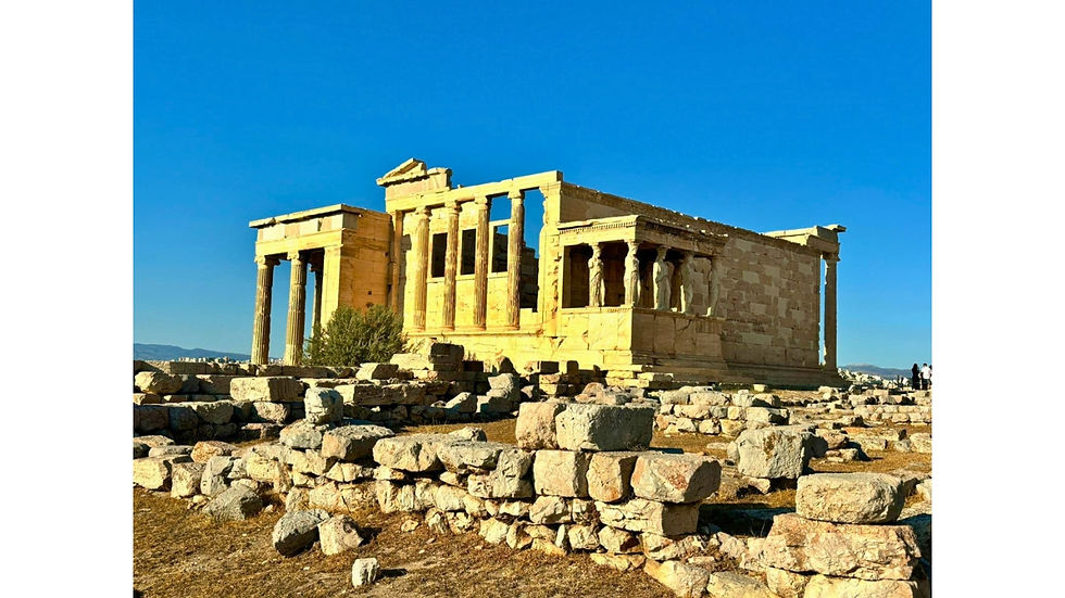 Quest for the "Sacred" Olive Tree of the Acropolis of Athens