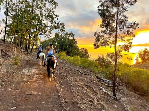 Activities | camp-palehua