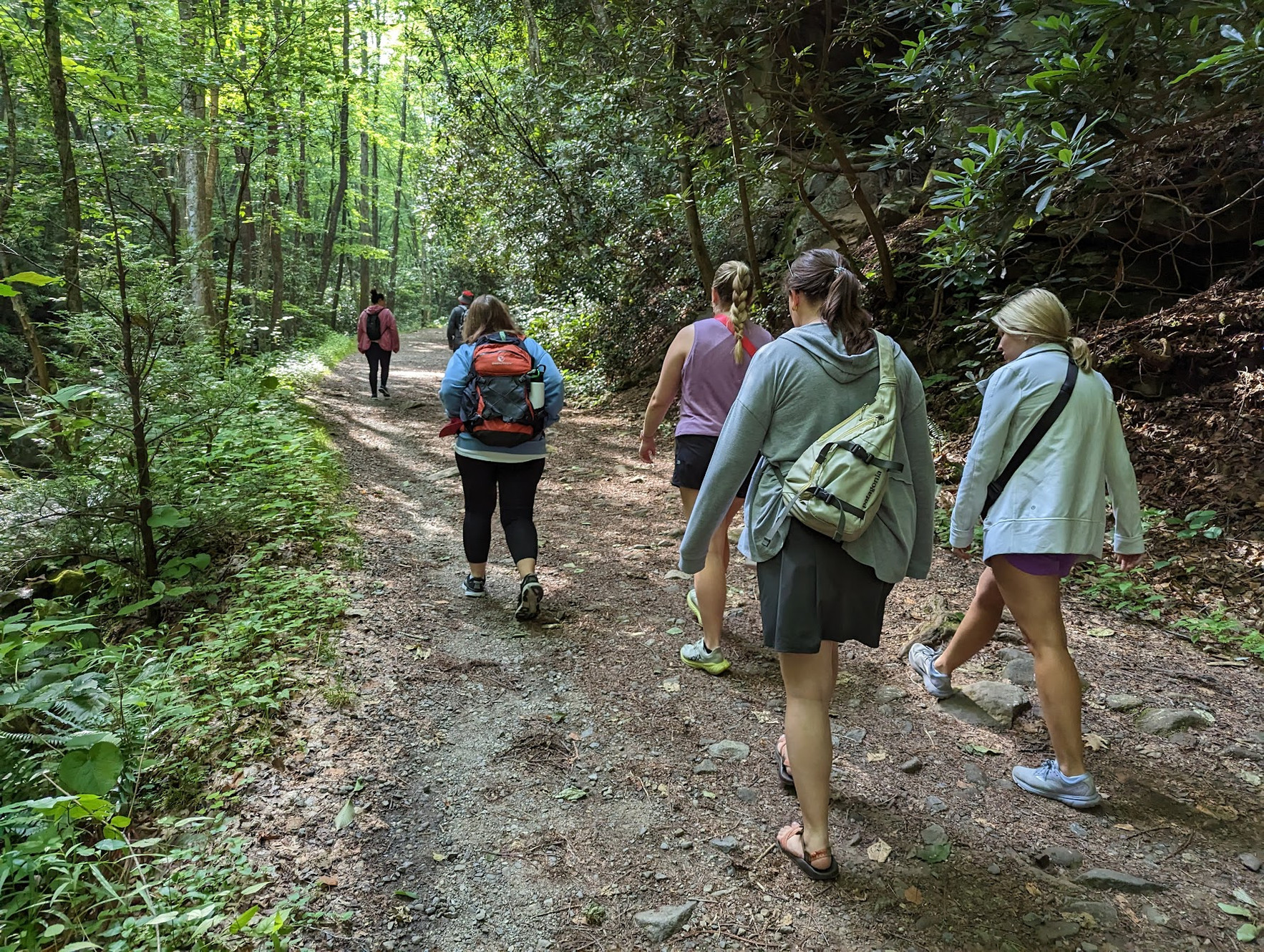 Team Building Hikes | Gratitude Hikes with Scott Colby