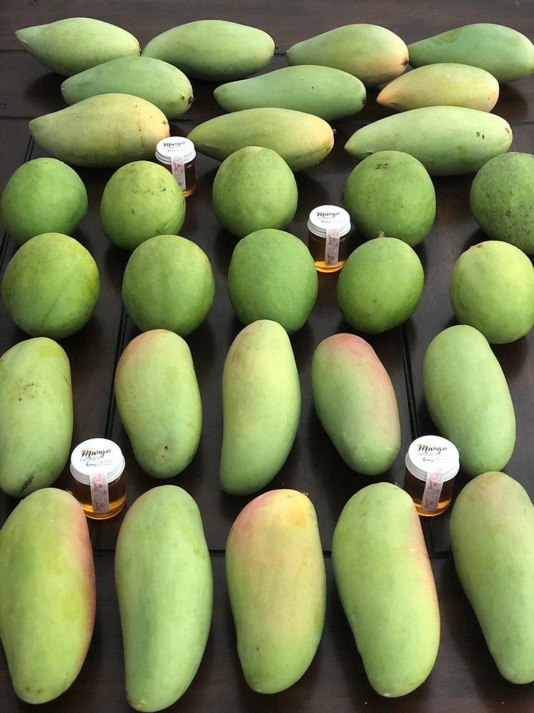 Get Ready to Mango Tango