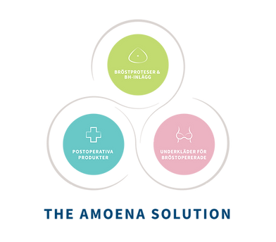 Amoena - 概述 | amoenahk