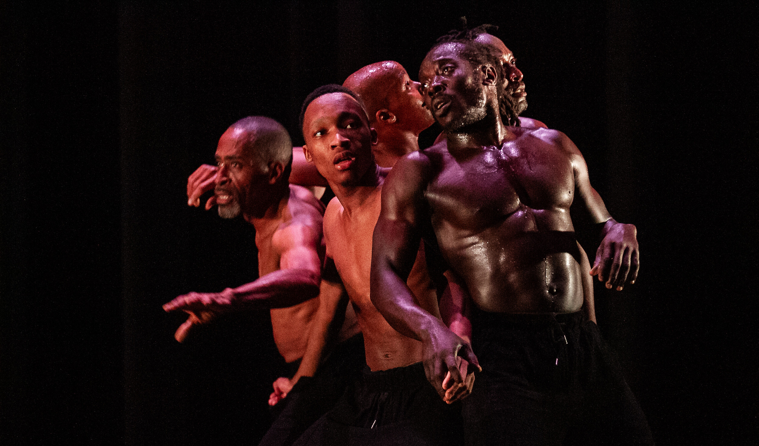 CANE WARRIORS | stateofemergency