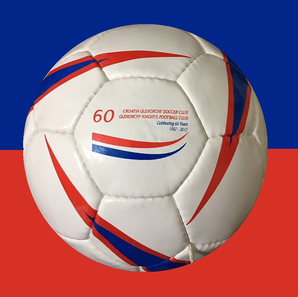 Custom Soccer Balls - Gallery