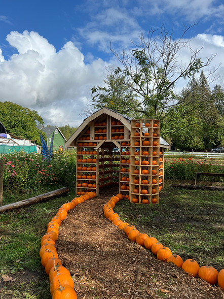 About Us | MEADOWS FAMILY FARM