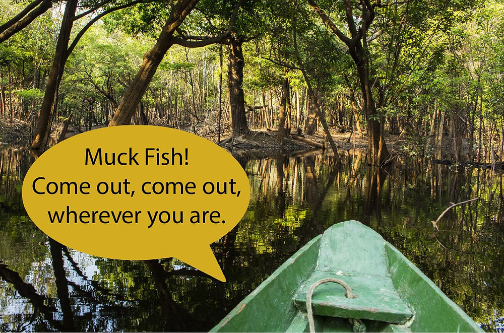Outing #8: In Search of Muck Fish