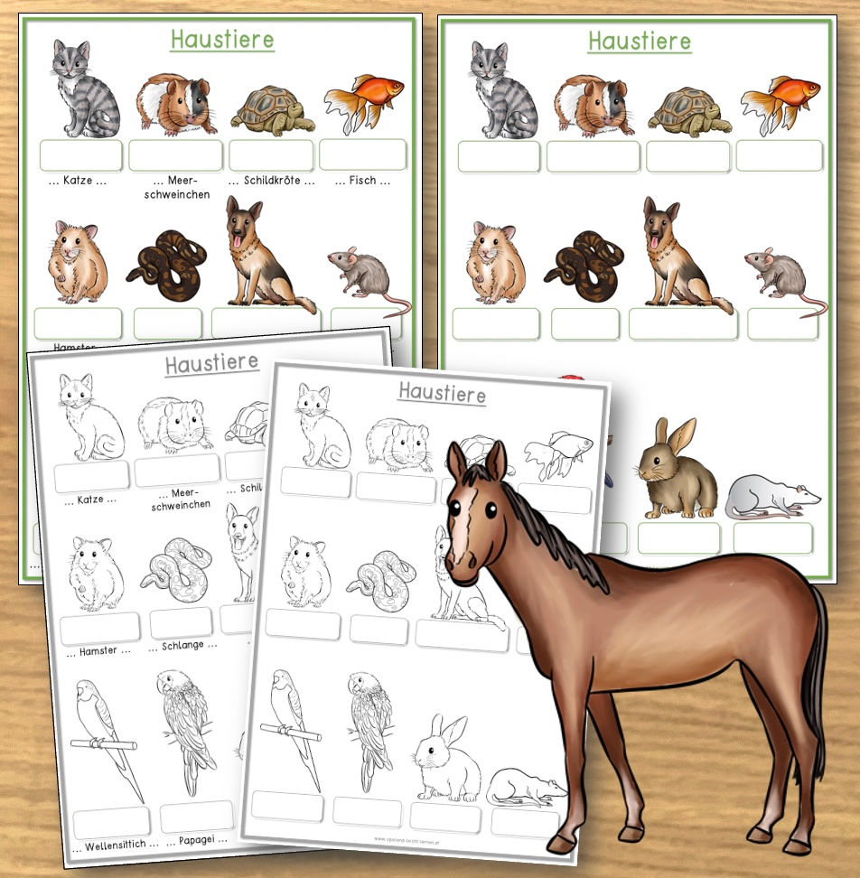 Wortschatz Haustiere (Wortschatzkarten) | SLL