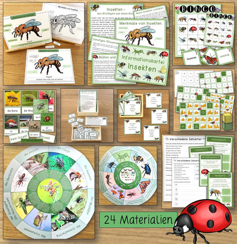 Insekten – Materialpaket (fächer- und schulstufenübergreifend) | SLL
