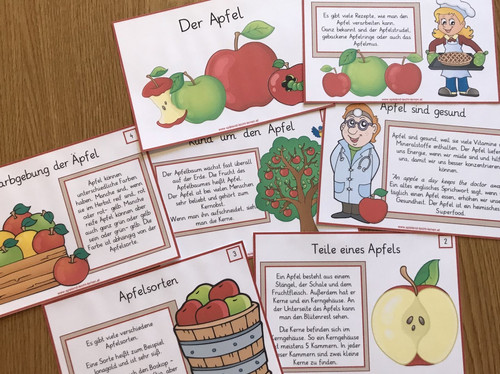 Der Apfel - Informationskartei | SLL