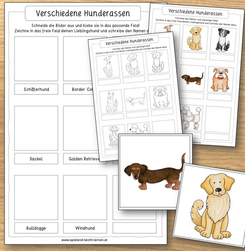 Hunderassen – Kopiervorlagen - Wortschatzsicherung | SLL
