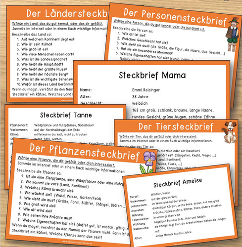 Steckbrief Anleitungskartei inkl. Umsetzungsbeispiele | SLL