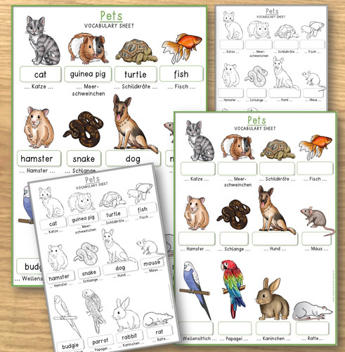 Pets Vocabulary sheet | SLL