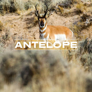 Hunting TV | Western Obsessions