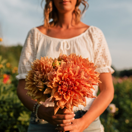 Ben Huston | Creekside Growers