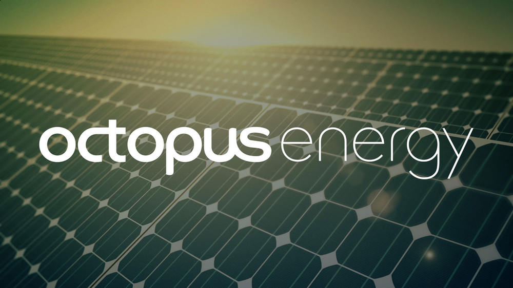 Octopus Energy Smart time-of-use tariff has ‘significant impact’ on habits