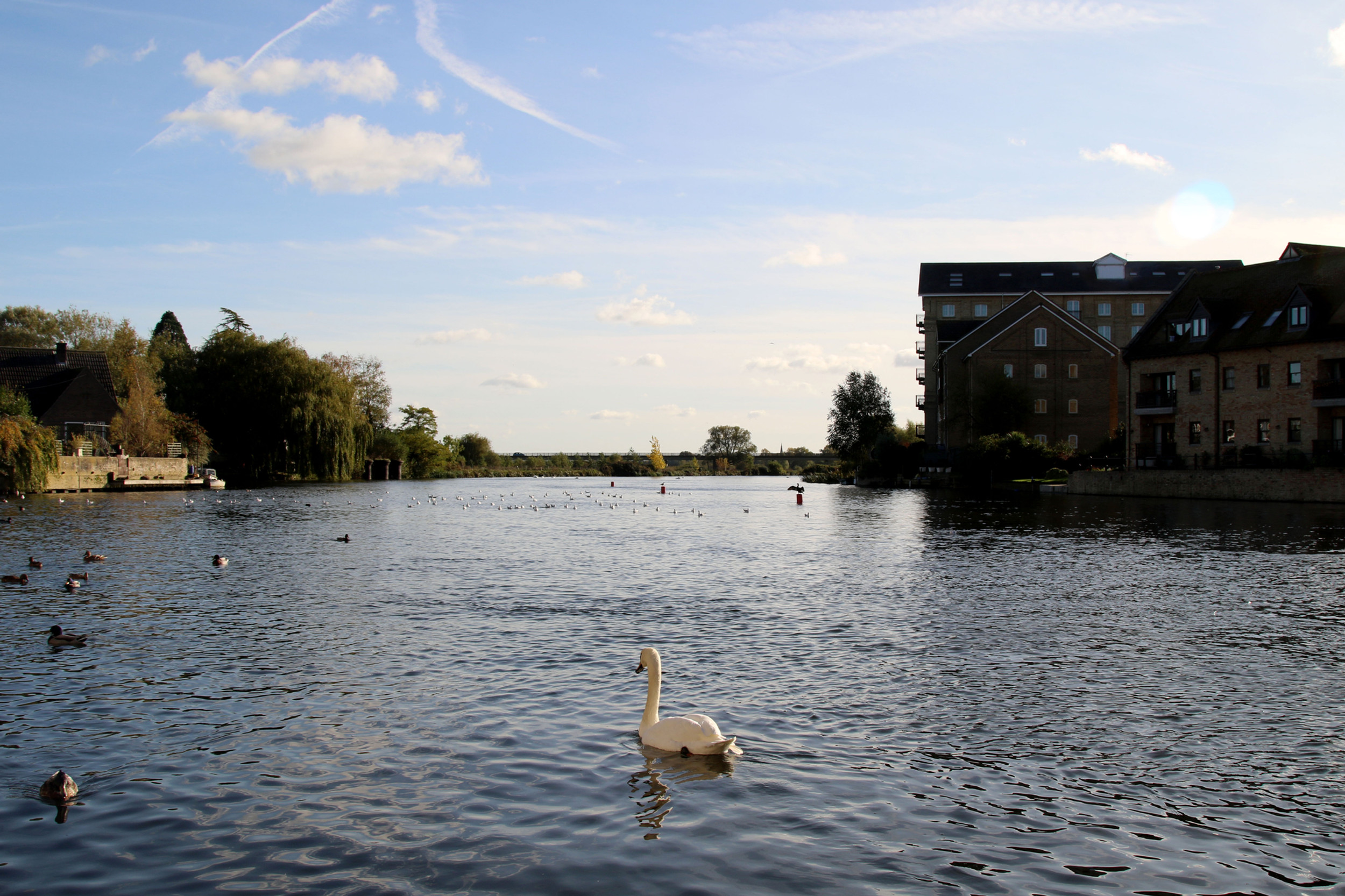 Get Involved | CALMtown