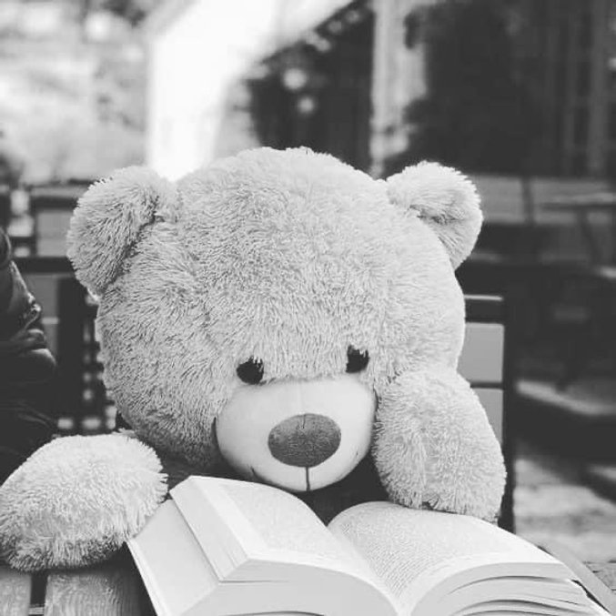 The Teddy Bears History Book