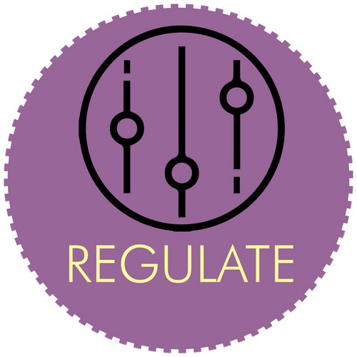 EY REGULATE | The Whole of Me