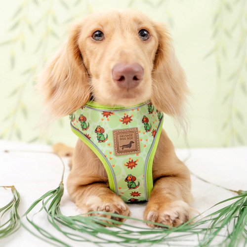Weenie-Saurus Anti-Rub Dachshund Harness | Sausage Dog Box