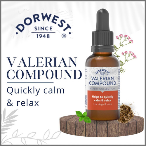 Dorwest Valerian Compound - For Anxious Dachshunds | Sausage Dog Box