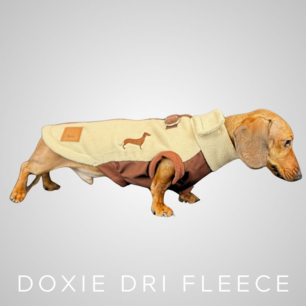 Sausage Dog Box | Dachshund Clothes And Accessories