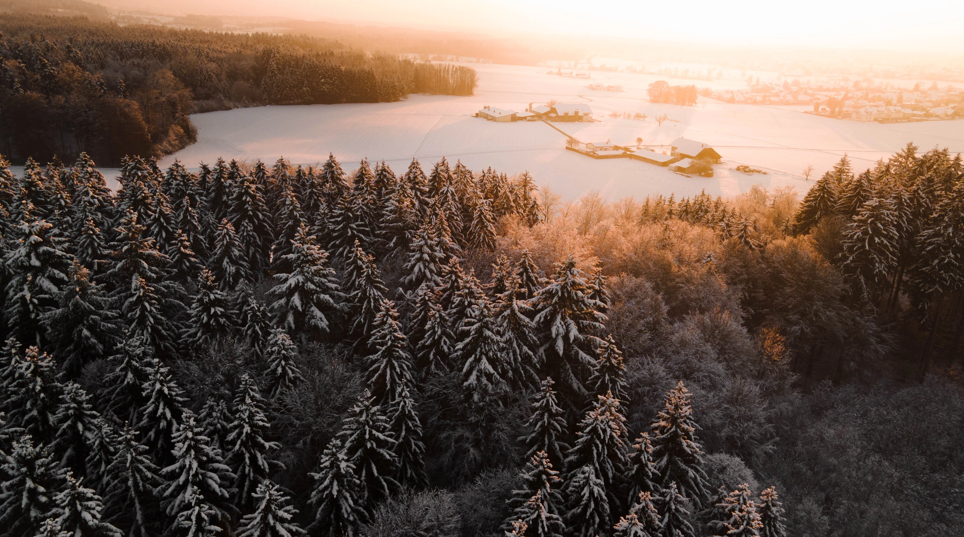Leimer Gebek Gartenbau GmbH | Gartengestaltung Planung Ausführung ...