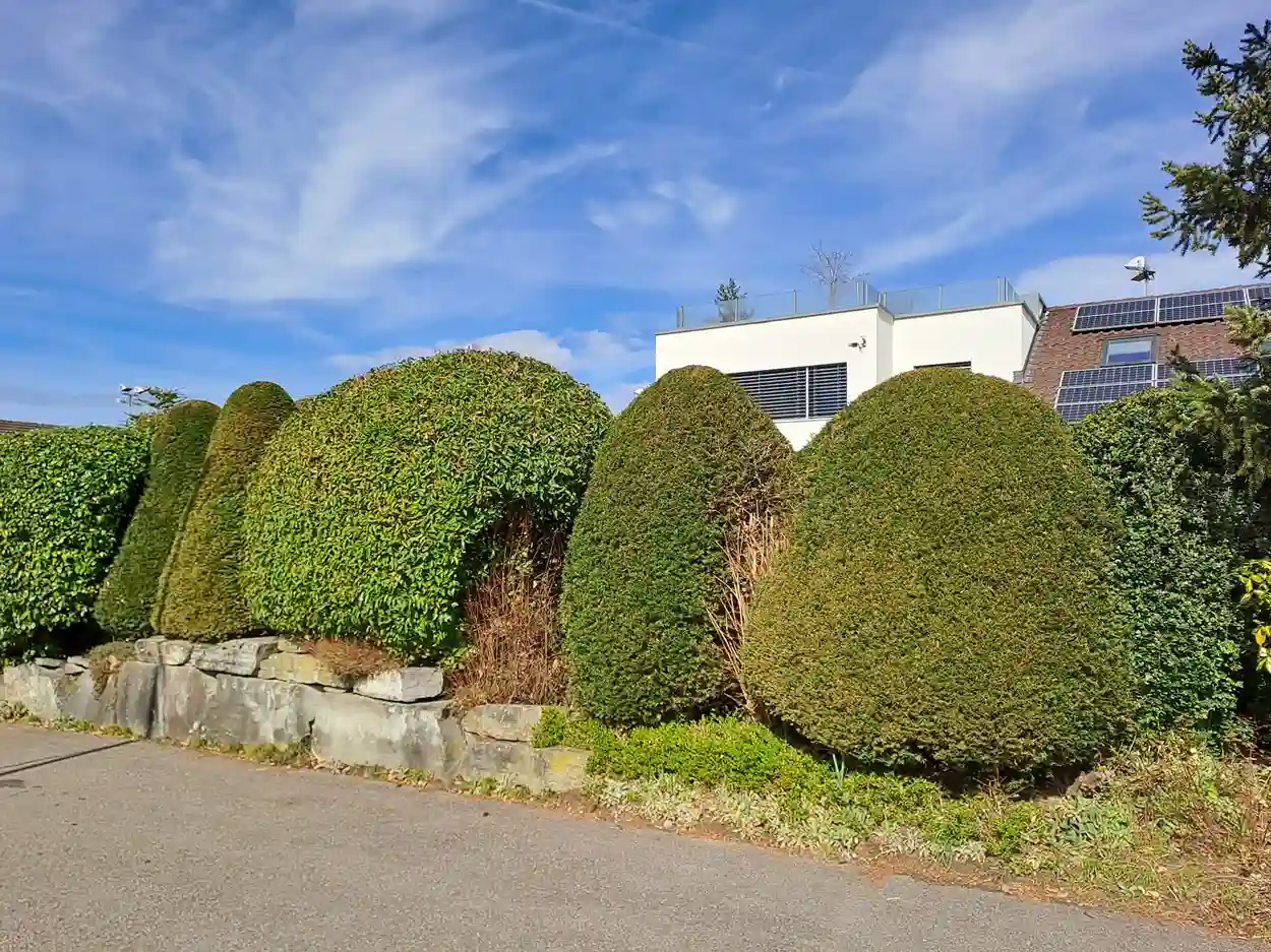 Leimer Gebek Gartenbau GmbH | Gartengestaltung Planung Ausführung ...