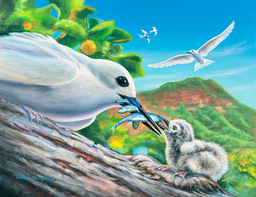 Manu O Kū Lē'ahi | Patrick Ching